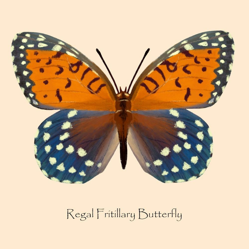 Butterfly Regal Fritillary Art Print by Yaviki – Fy!