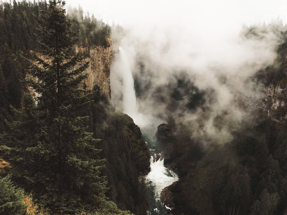 Misty Forest Waterfall Art Print by Indio Page – Fy!