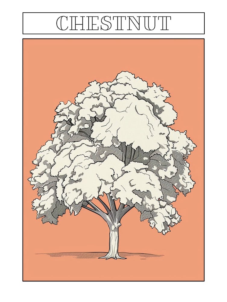Chestnut Tree Minimalistic Drawing 3 Poster Art Print by Bough And ...