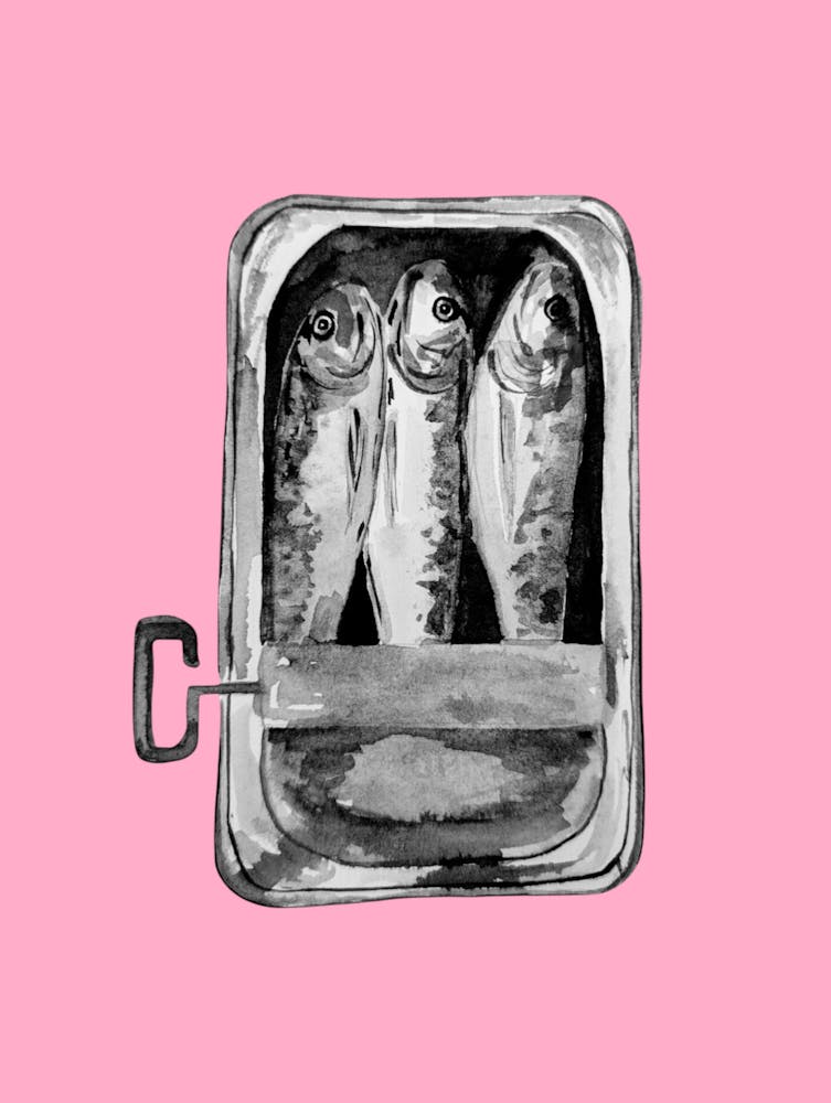 Pink Sardines Tin Illustration Watercolour Kitchen Art Print by ...