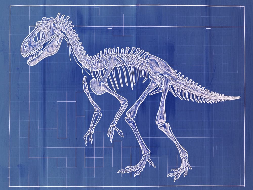 Acrocanthosaurus Dinosaur Skeleton Blueprint 2 Art Print by Dino ...