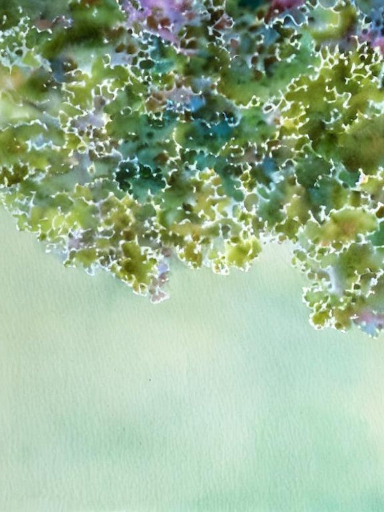 Acropora Acuminata Ii Storybook Watercolour Art Print by Reef ...
