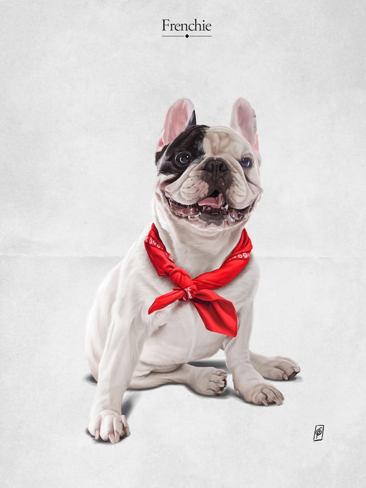 Frenchie Art Print by Rob Snow – Fy!