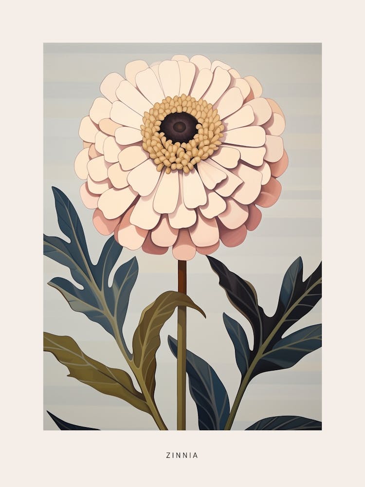 Flower Illustration Zinnia Poster Art Print by Botanic Studio – Fy!