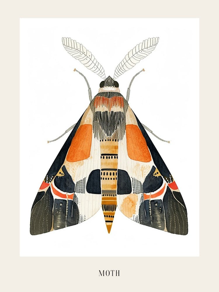 Colourful Insect Illustration Moth 48 Poster Art Print by Ritual Art ...