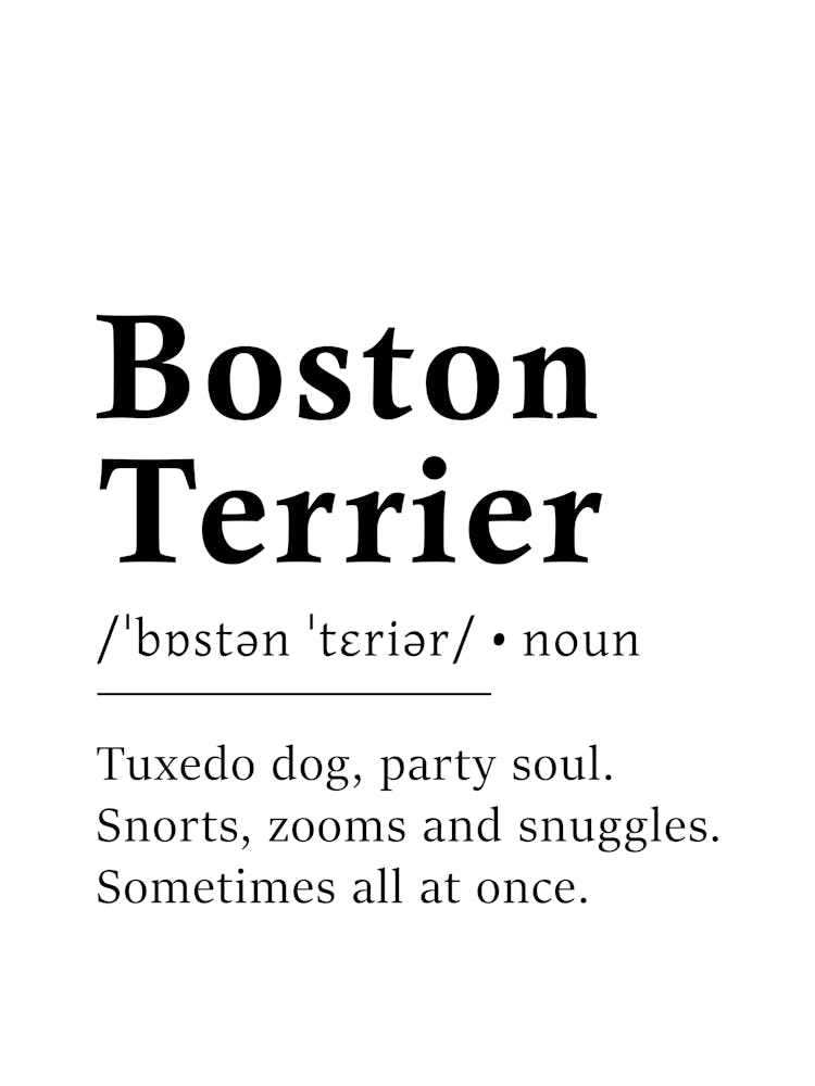 Boston Terrier Definition Poster - Dictionary Art Print by Fy!