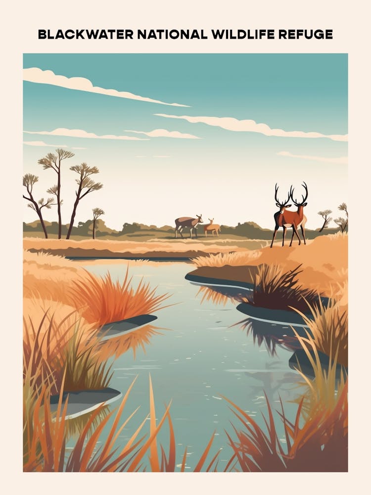 Blackwater National Wildlife Refuge Midcentury Travel Poster Art Print ...