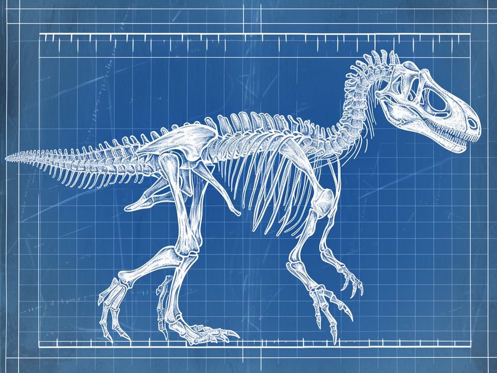 Dilophosaurus Skeleton Hand Drawn Blueprint 1 Art Print by Dino ...