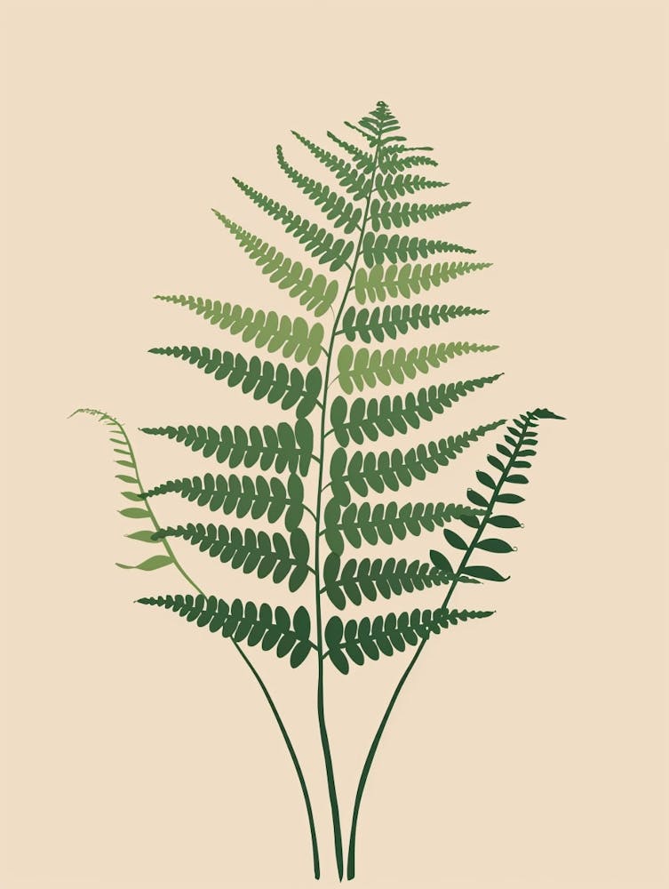 Fern Plant Minimalist Illustration 2 Art Print by Petal Pigments – Fy!