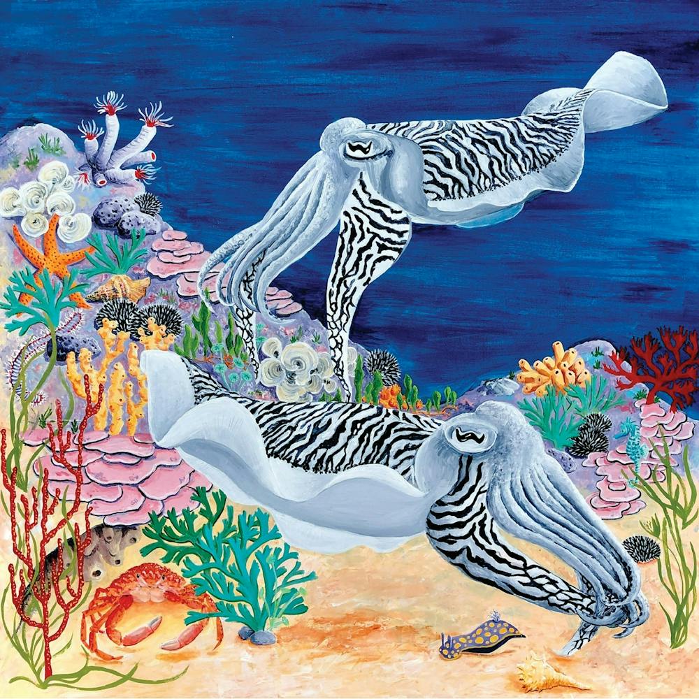 Cuttlefish Reef Art Print by s rowan murray – Fy!