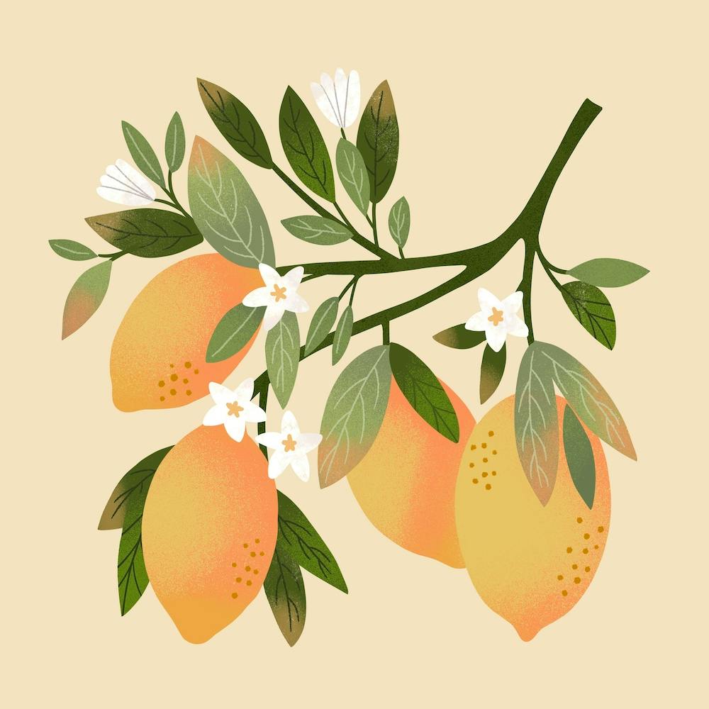 Tuscan Lemons Square Art Print by Jess Miller Draws – Fy!