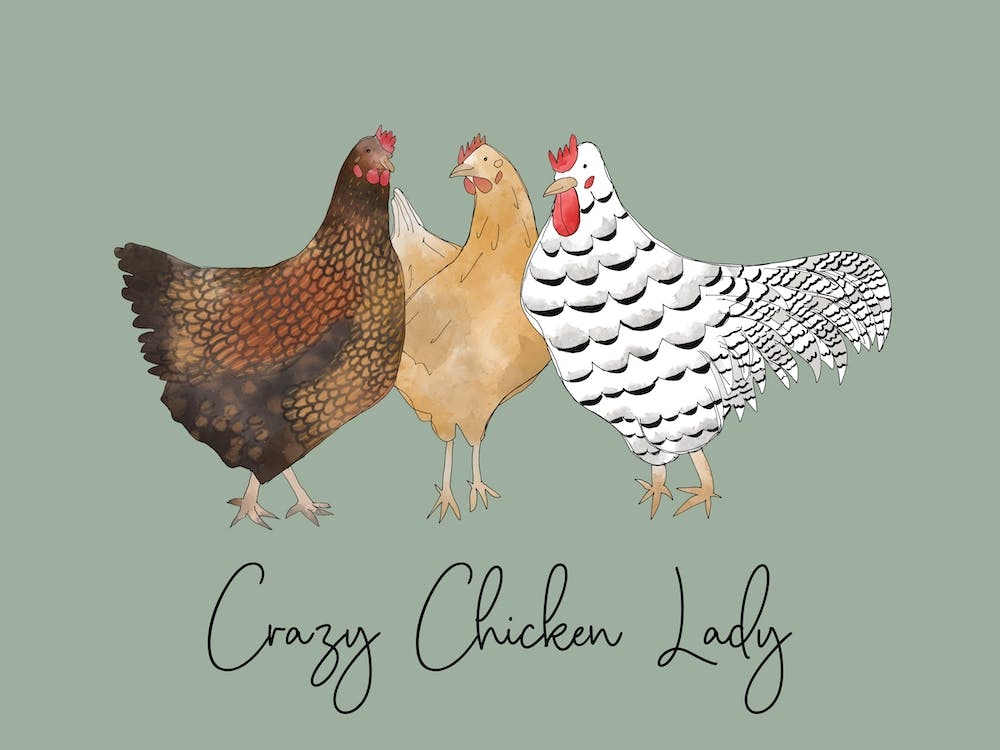 Crazy Chicken Hen Lady Art Print by MPS Illustrations – Fy!