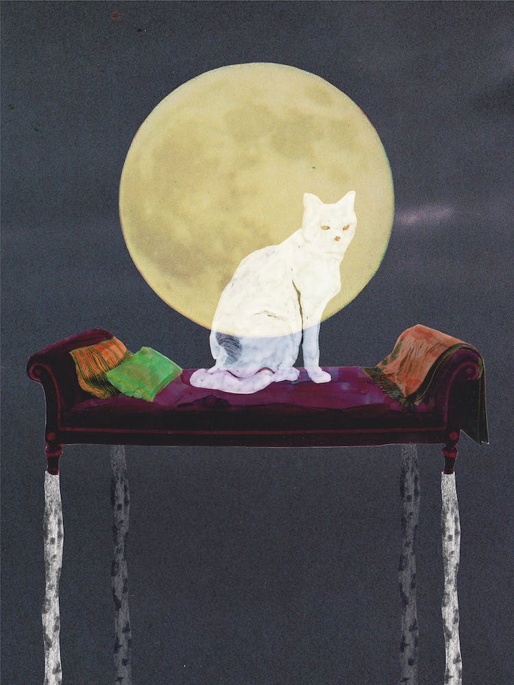 Catnip White Art Print by Alexander Adiels – Fy!