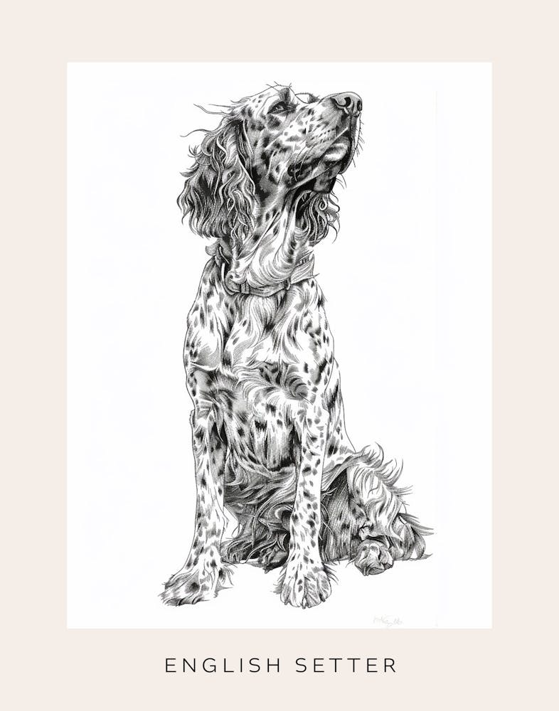 English Setter Dog Line Sketch 1 Poster Art Print by Woof and Whiskers ...