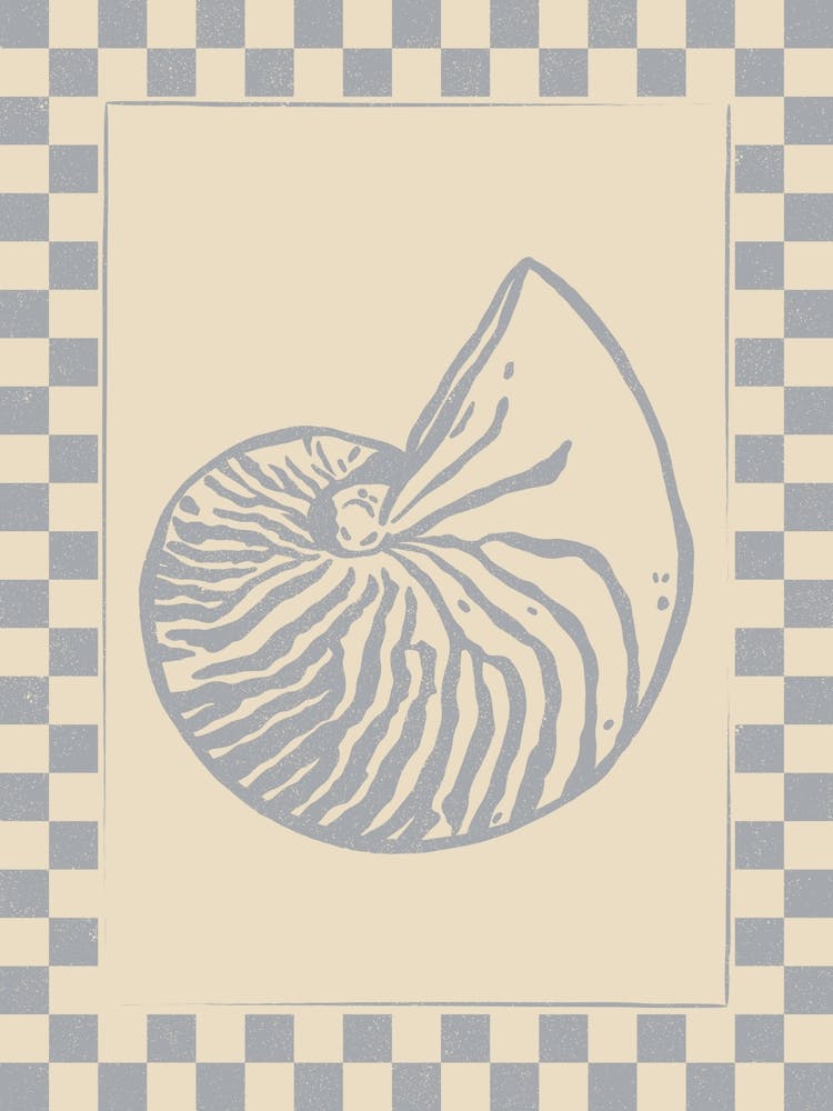 Seashell 12 with Checkered Border Art Print by Fleur Folk – Fy!