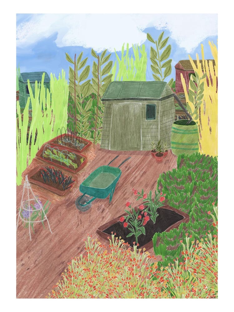 The Allotment Art Print by BITSIFIND – Fy!