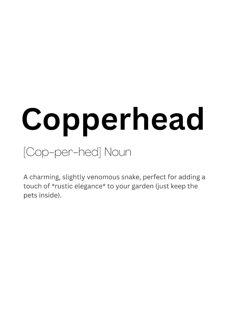 Copperhead Definition Meaning Art Print by Kaigozen – Fy!