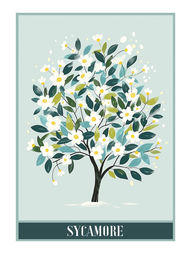 Sycamore Tree Flat Illustration 1 Poster Art Print by Bough And Bloom ...