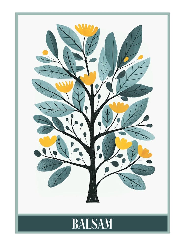Balsam Tree Flat Illustration 7 Poster Art Print by Bough And Bloom ...