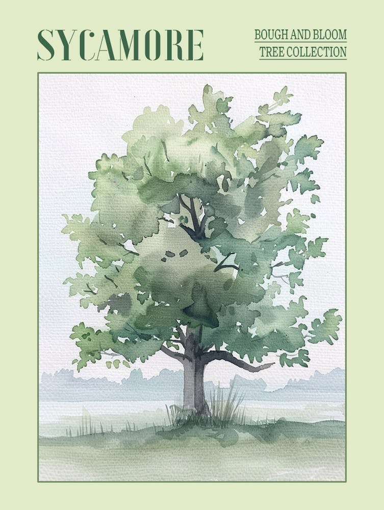 Sycamore Tree Atmospheric Watercolour Painting 3 Poster Art Print by ...