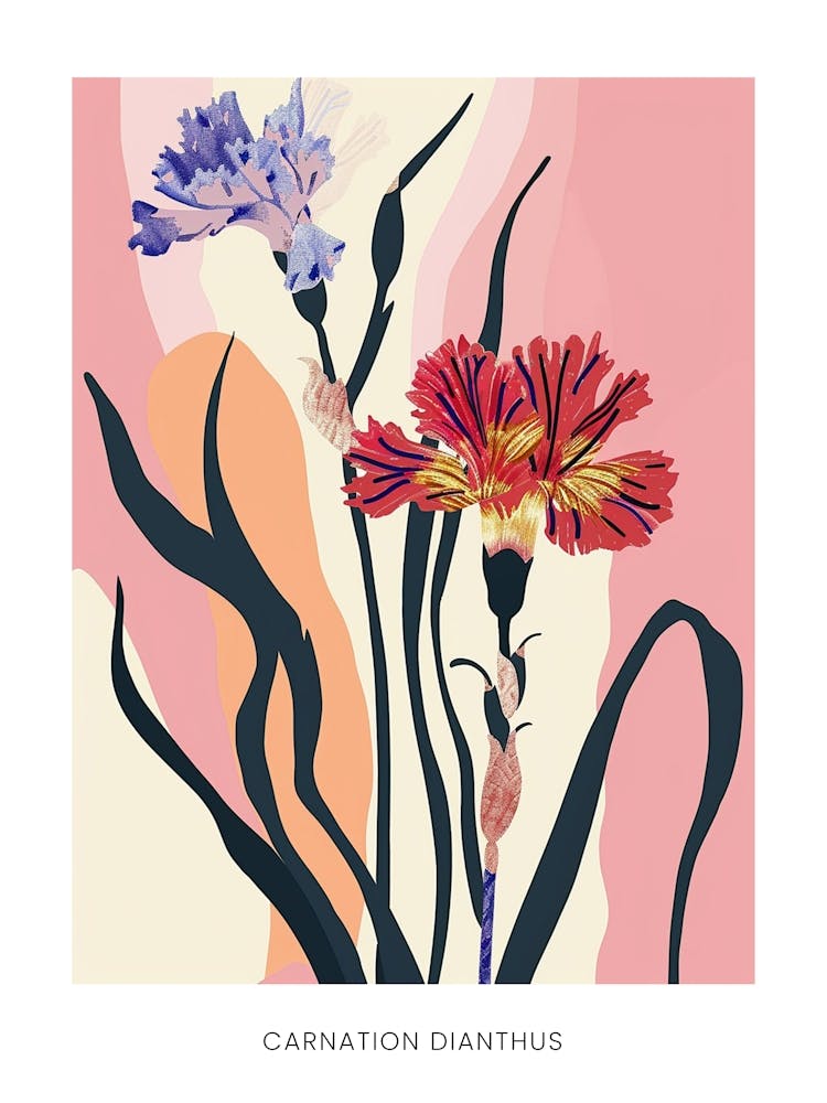 Colourful Flower Illustration Poster Carnation Dianthus 1 Art Print by ...
