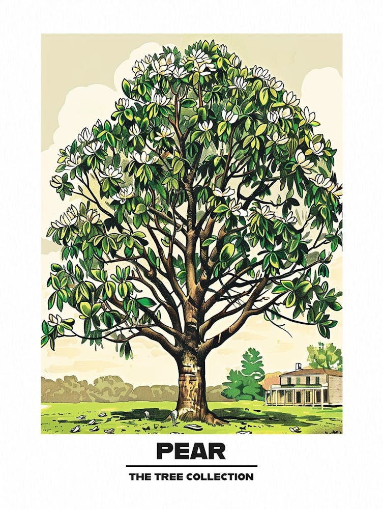 Pear Tree Storybook Illustration 4 Poster Art Print by Bough And Bloom ...
