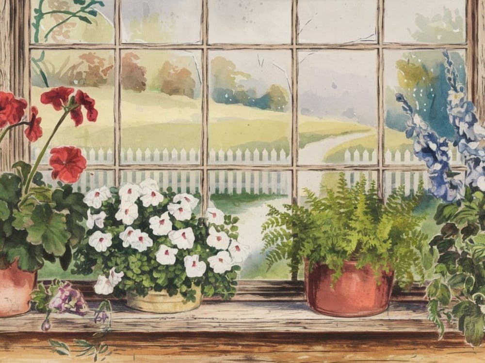 Sun-Drenched Window Sill - Floral Display Art Print by Fy!