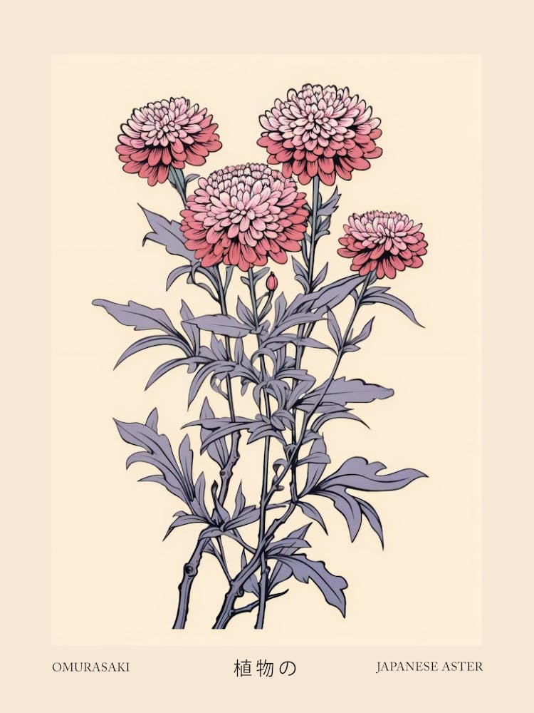 Omurasaki Japanese Aster Vintage Japanese Botanical Poster Art Print by ...