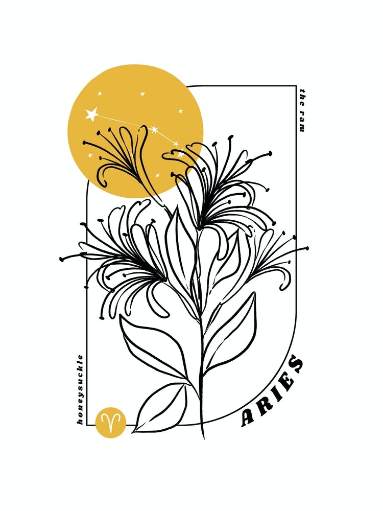 Aries Birth Flower & Zodiac Sign Art Print by Jande Summer – Fy!