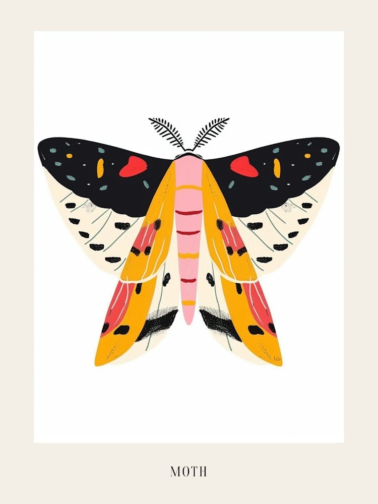 Colourful Insect Illustration Moth 9 Poster Art Print by Ritual Art ...