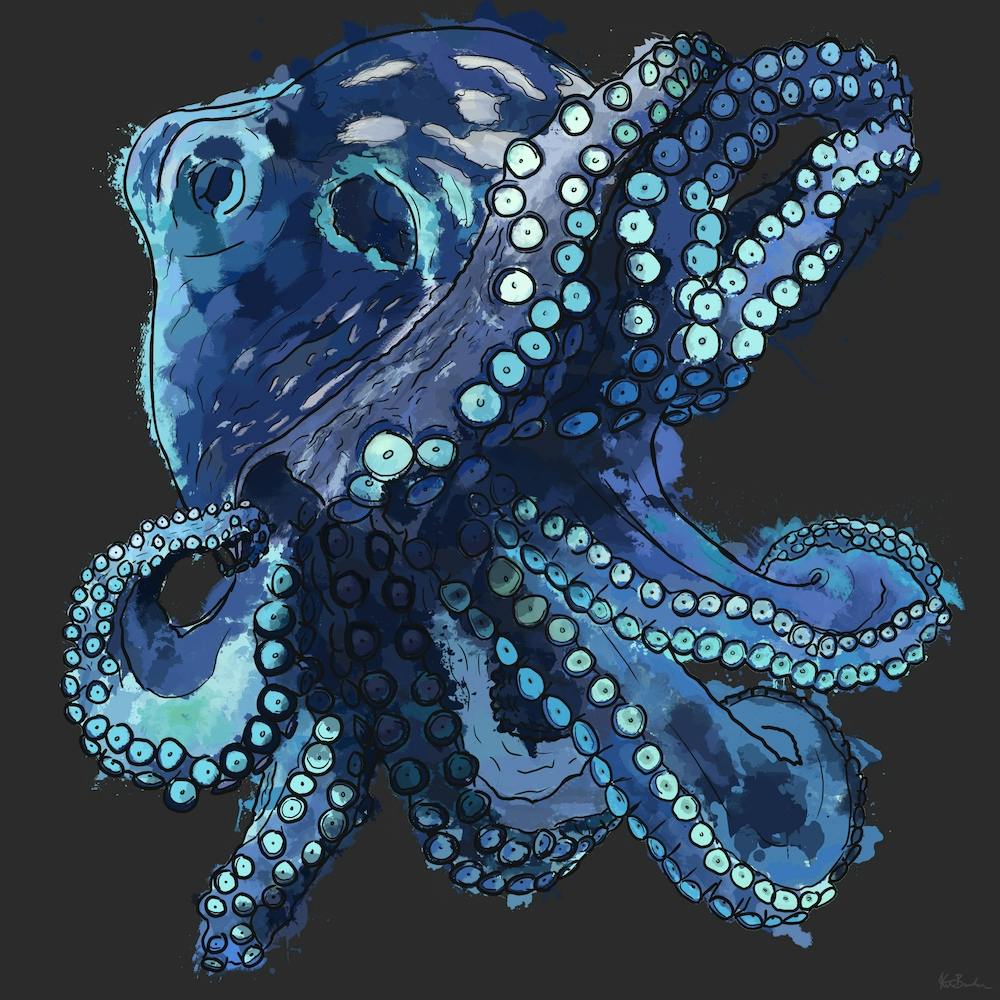 Splashy Octopus Square Art Print by Kits Concepts – Fy!