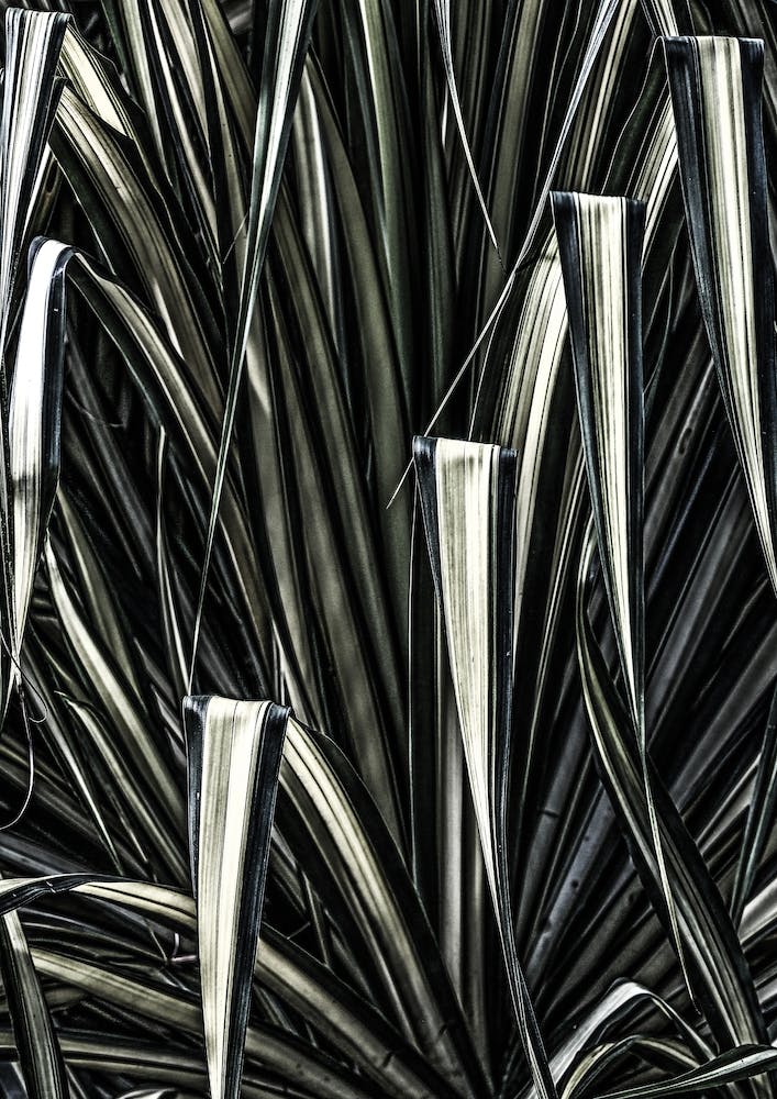 Jungle Brush Art Print by Shot by Clint – Fy!