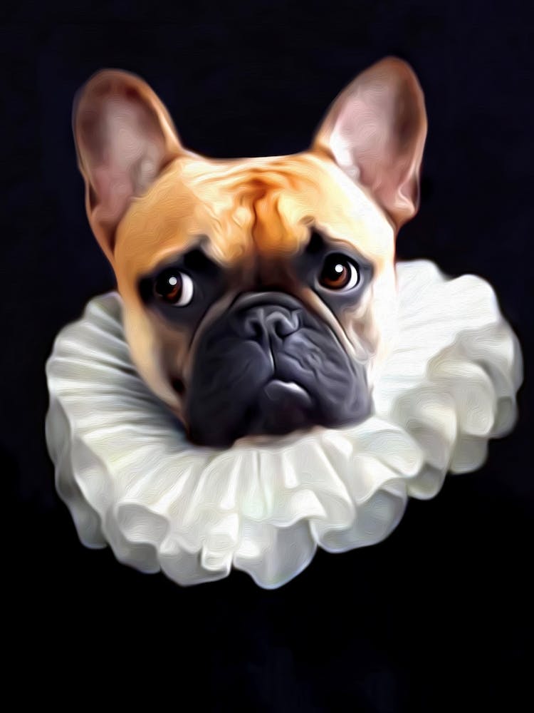 Pipo The Pug Dog Pet Portraits Art Print by l'Animorphe - Lanimorphe by ...