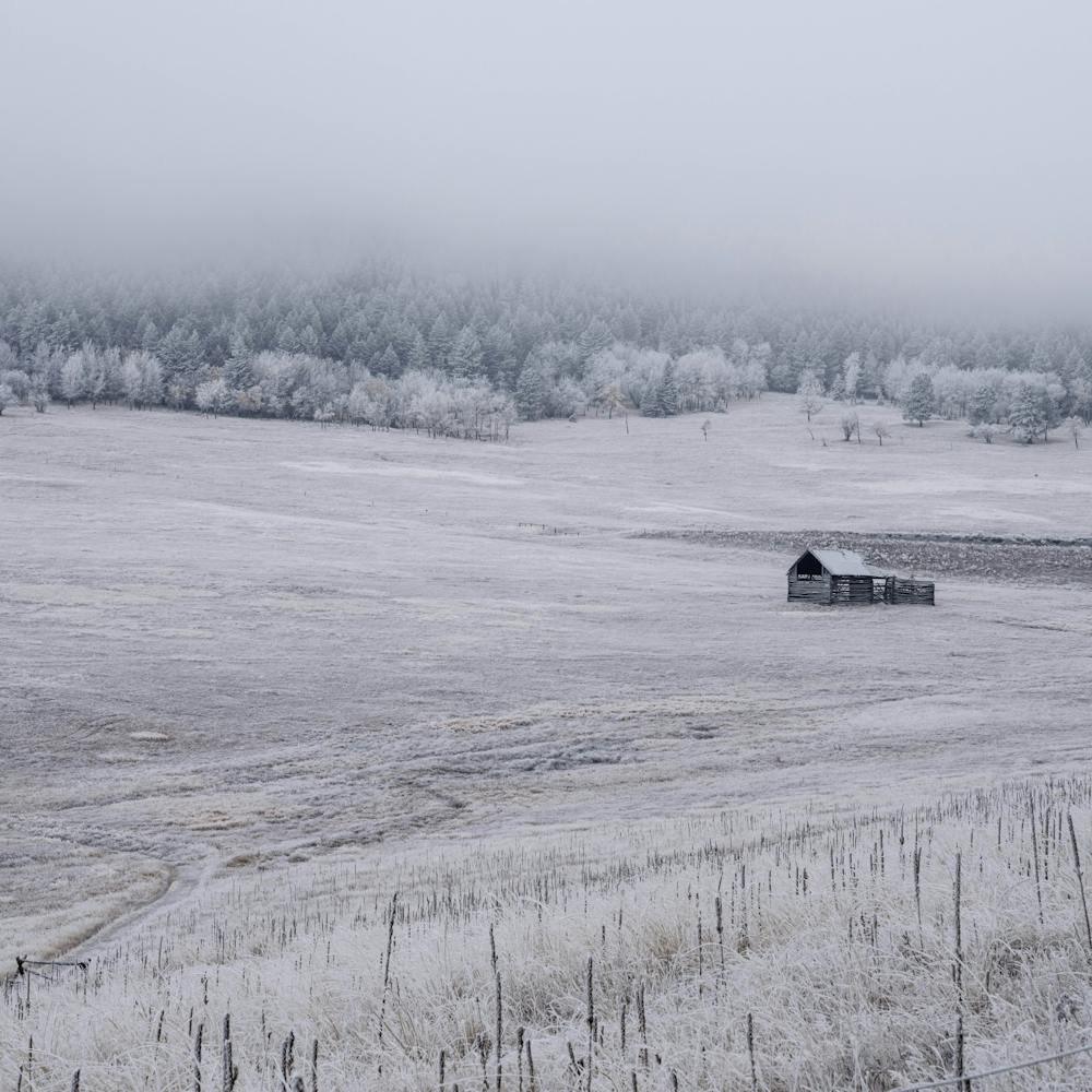 Winters Edge Art Print by Christopher Austin of Austin Studio Denver – Fy!