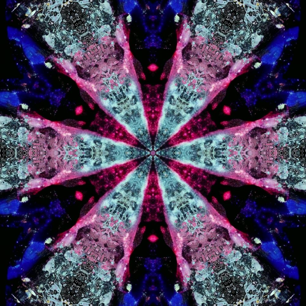 Sacred Symmetry Flower Art Print by Sonia Enache – Fy!