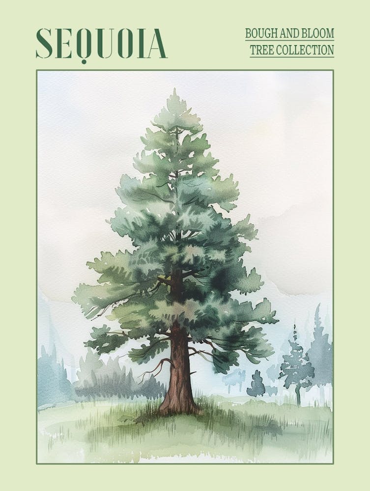 Sequoia Tree Atmospheric Watercolour Painting 6 Poster Art Print by ...