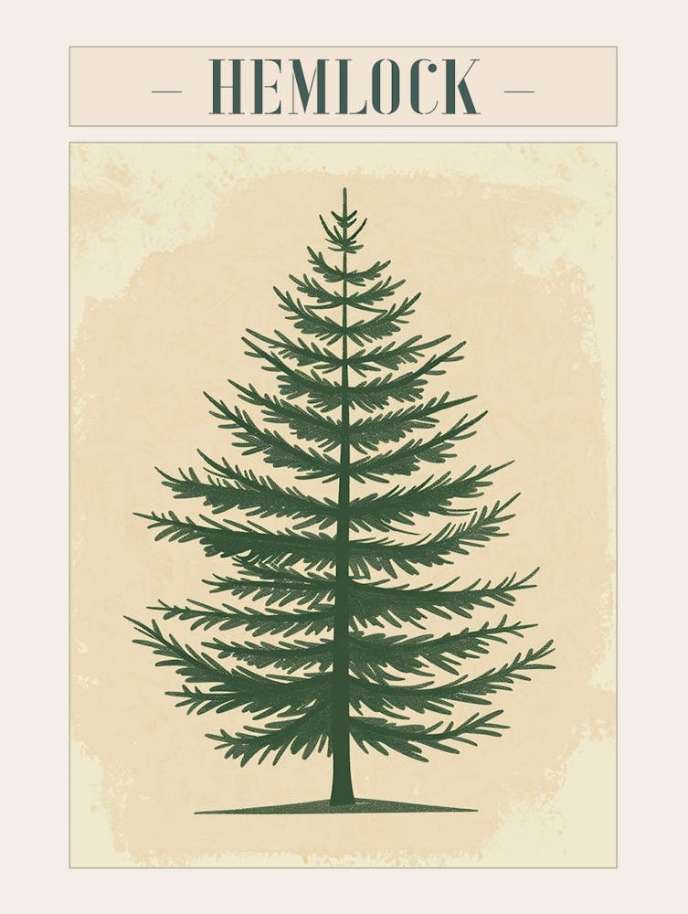 Hemlock Tree Minimal Japandi Illustration 4 Poster Art Print by Bough ...