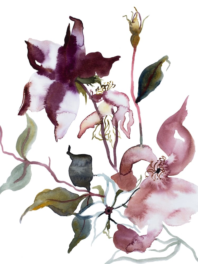 Rose Study 51 Art Print by Elizabeth Becker – Fy!