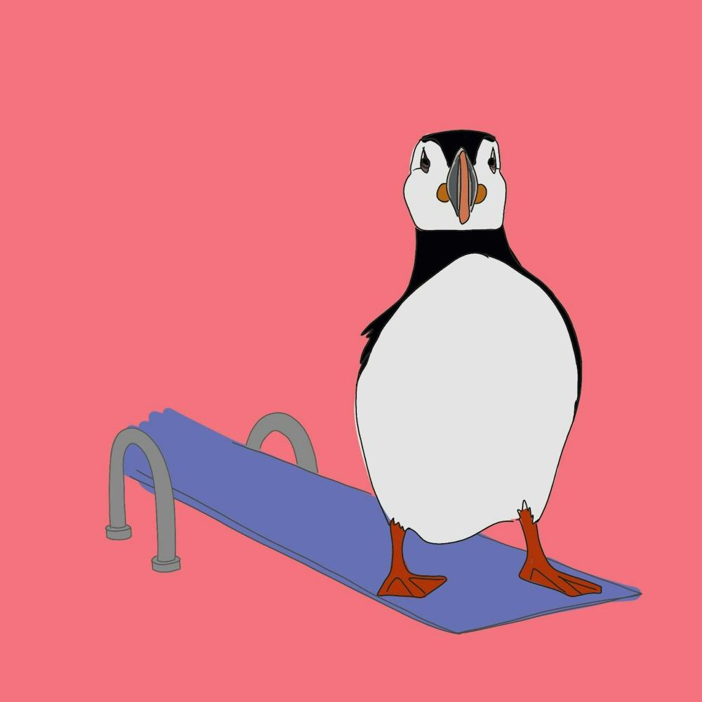 Diving Puffin Art Print by Kitty Doodling – Fy!