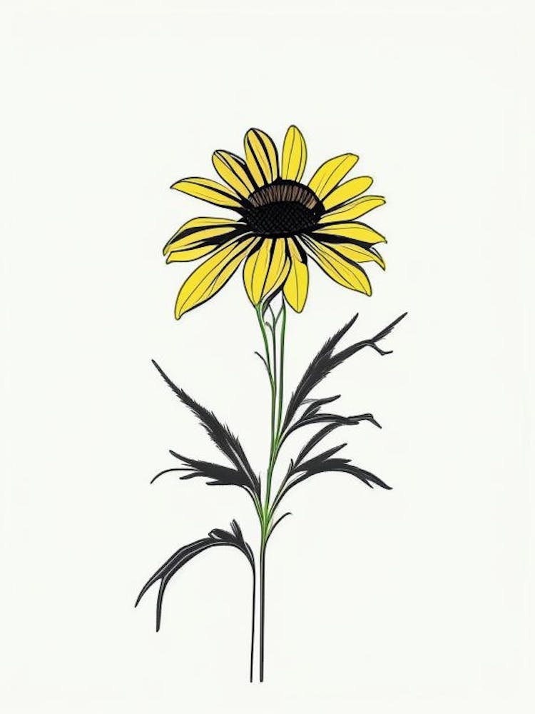 Rudbeckia Floral Minimal Line Drawing 1 Flower Art Print by The Artsy ...