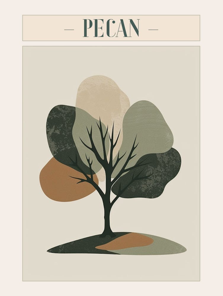 Pecan Tree Minimal Japandi Illustration 2 Poster Art Print by Bough And ...