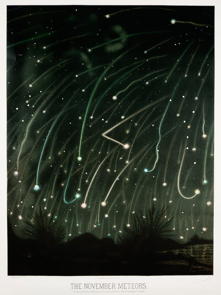 The November Meteors Vintage Astrology Art Print by Fy! Classic Art ...