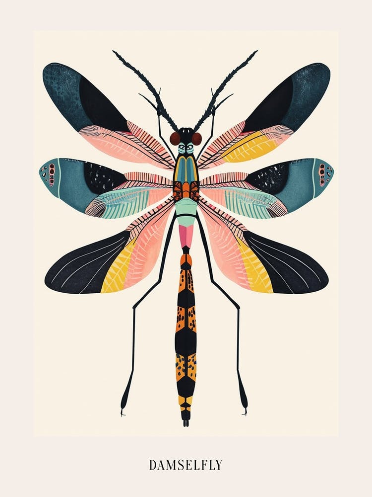 Colourful Insect Illustration Damselfly 9 Poster Art Print by Ritual ...