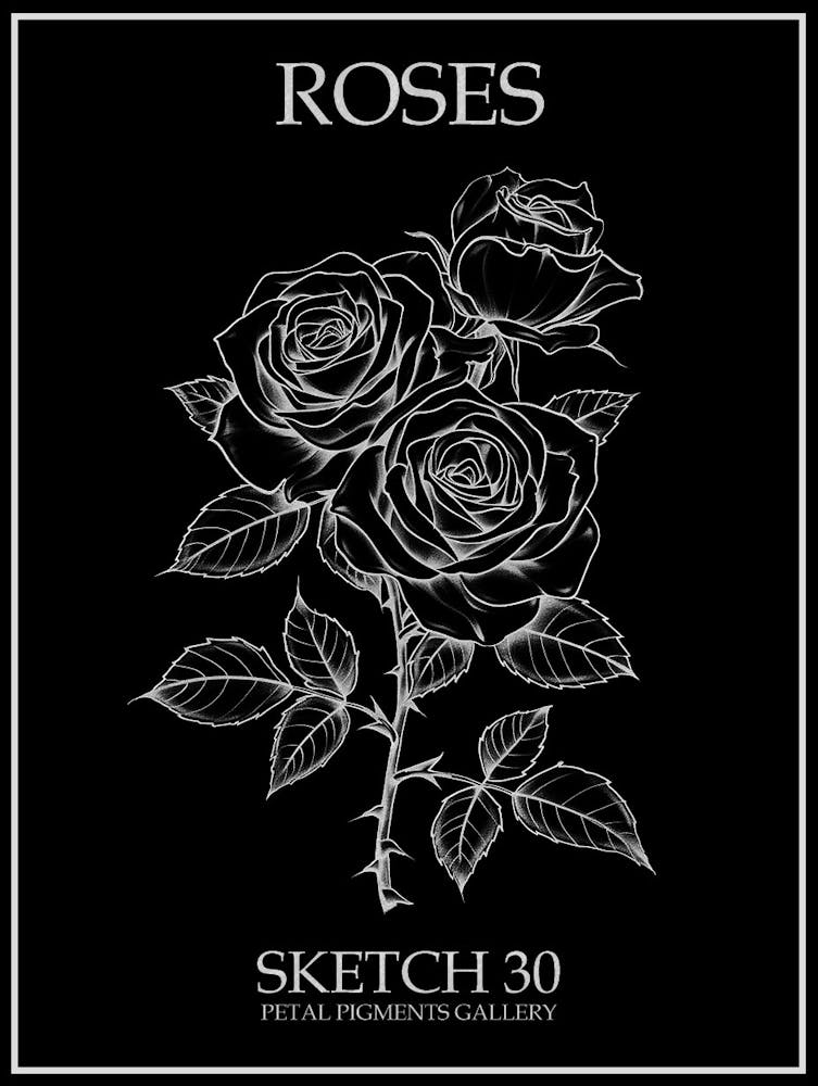 Roses Sketch 30 Poster Inverted Art Print by Petal Pigments – Fy!