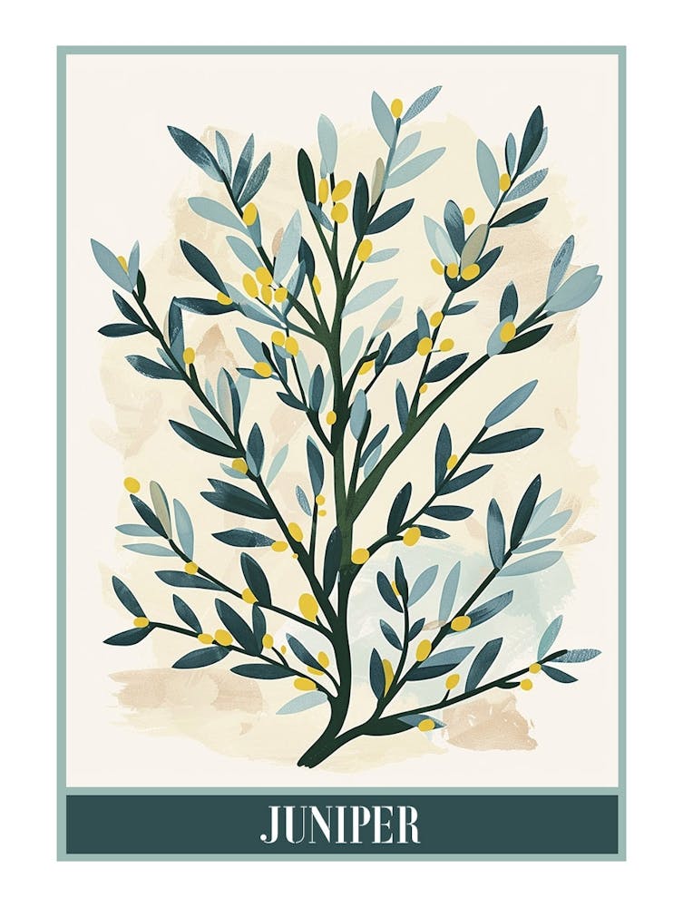 Juniper Tree Flat Illustration 1 Poster Art Print by Bough And Bloom ...