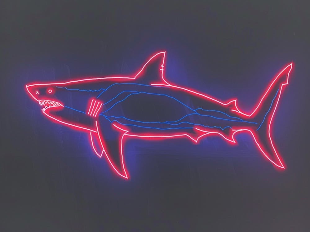 Neon Dark Red Whale Shark 1 Art Print by Energy of the Sea – Fy!