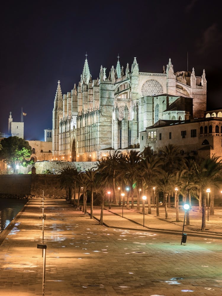 Palma Cathedral La Seu at Night Art Print by imagine – Fy!