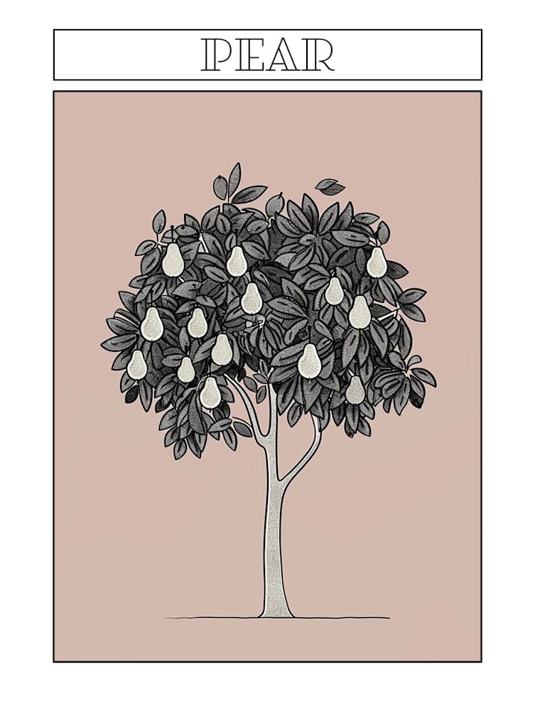 Pear Tree Minimalistic Drawing 3 Poster Art Print by Bough And Bloom ...