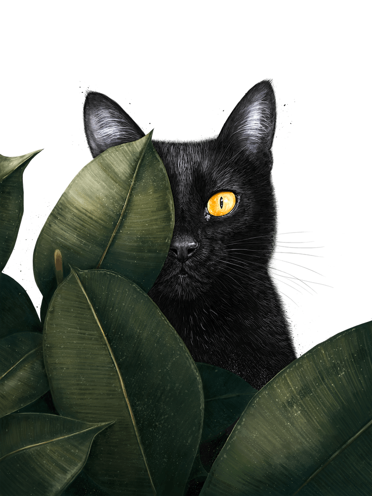 Black Cat In Ficus Art Print by Valeriya Korenkova – Fy!