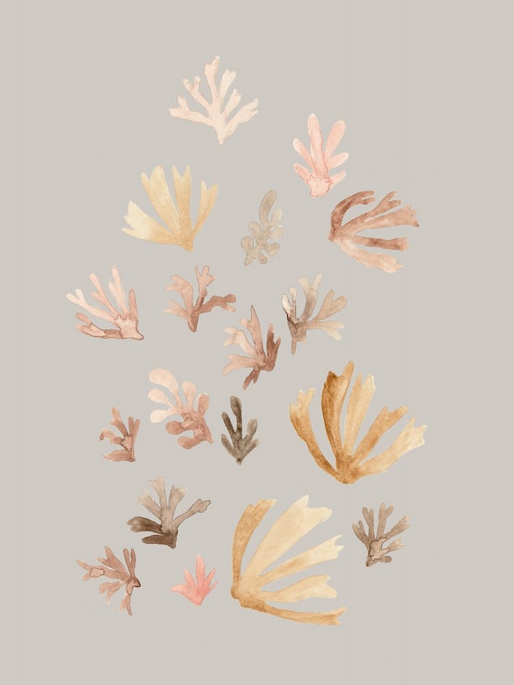 Coral 1 Art Print by Mantika Studio – Fy!